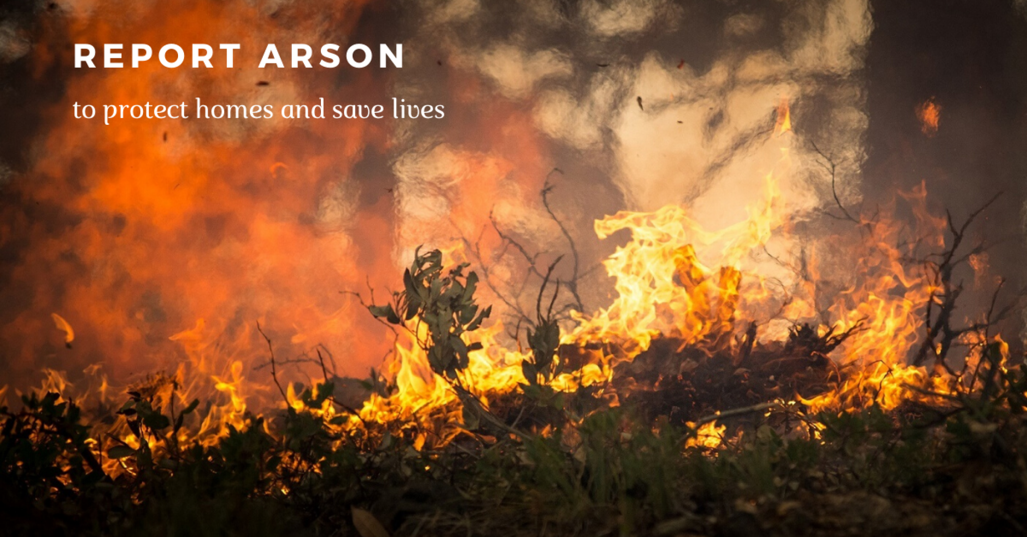 The signs of a bushfire arsonist - Crime Stoppers Australia